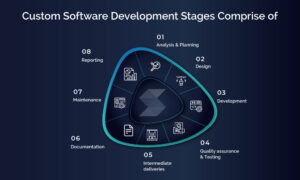 Custom Software Development Can Make Your Business Win